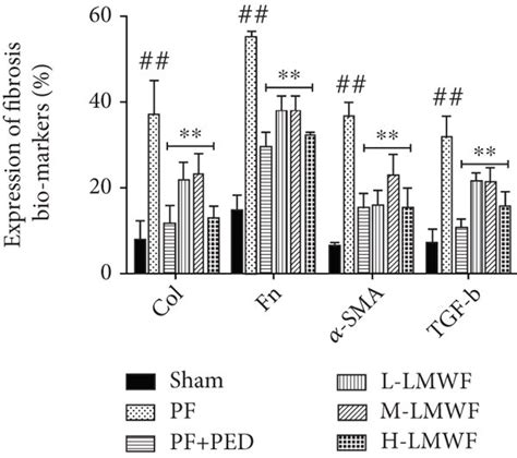 Assessment Of Pulmonary Fibrosis Immunohistochemical Detection Of Download Scientific Diagram
