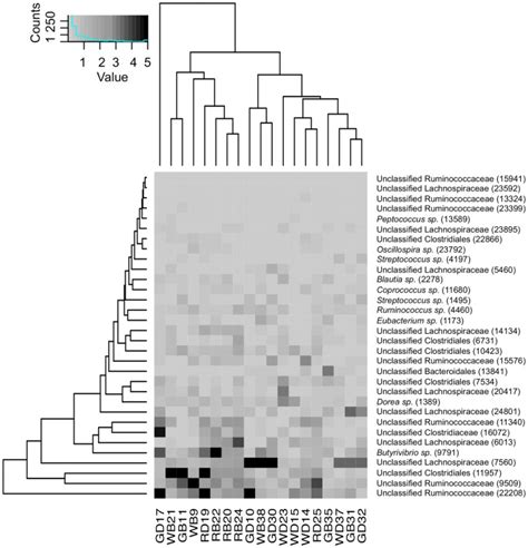 Otu Heatmap With Double Hierarchical Clustering Of The Shared Bacterial