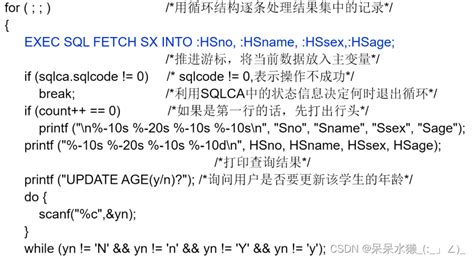 【数据库复习】第五章 数据库编程1 csdn博客