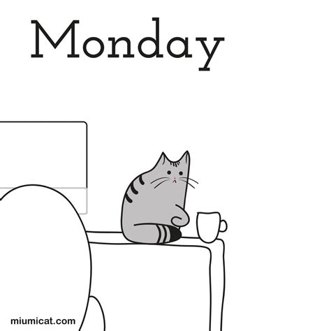 Monday Cat  Funny