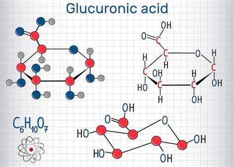 Diagrama De Molecula De Acido Graxo Pequeñas Moléculas ácidos