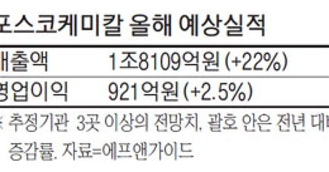 포스코케미칼 2차전지 앞세워 성장 가속도