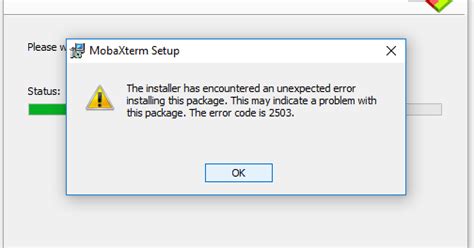 survival8 resolving errors 2502 and 2503 while installing software on