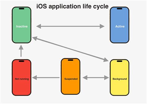 What Is The Rosetta Application On Mac And How It Is Related To Ios What Is The Rosetta Application On Mac And How It Is Related To Ios