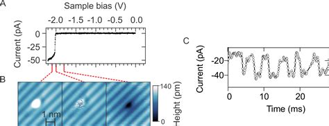 Video All Electronic Nanosecond Resolved Scanning Tunneling Microscopy Facilitating The