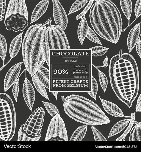 Cocoa Design Template Chocolate Beans Royalty Free Vector