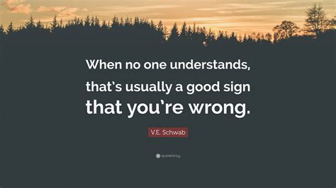 Ve Schwab Quote “when No One Understands Thats Usually A Good Sign