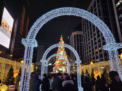 샐러던트리포트 도심 속에서 메리 크리스마스 광화문·청계천에 열린 윈터페스타