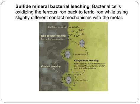 Enrichment Of Ores By Microorganisms Bioaccumulation And