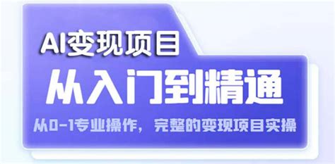 Ai从入门到精通 从0 1专业操作，完整的变现项目实操（视频文档） 海淘课堂