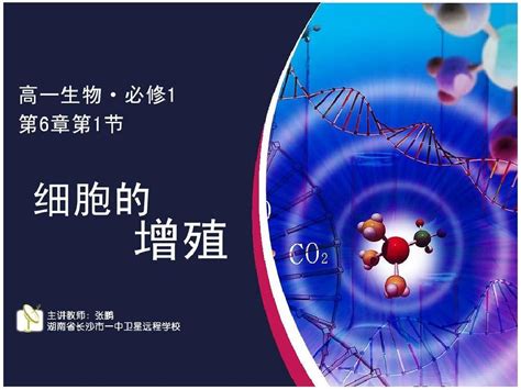 110218 高一生物《第6章第1节 细胞的增殖》word文档在线阅读与下载无忧文档