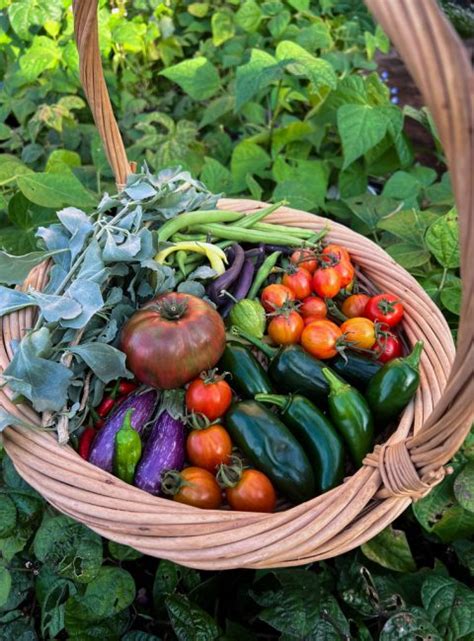 Soil Calculator How Much Soil Do You Need The Gourmantic Garden