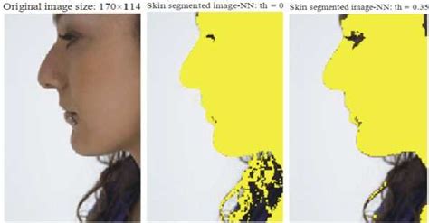 Figure 9 From Skin Color Detection Model Using Neural Networks And Its