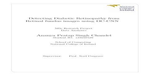 Pdf Detecting Diabetic Retinopathy From Retinal Fundus Images Dokumen Tips