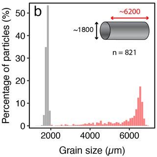 The Impact Of Particle Shape On Size And Shape Parameters Particle Download Scientific Diagram
