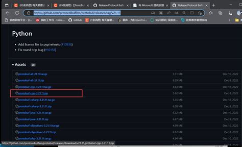 【protobuf】2环境配置protobuf 环境变量 Csdn博客