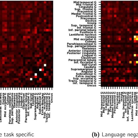 the salient anatomical connections for the task specific language