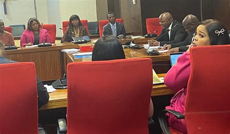 news parliament of the kingdom of eswatini