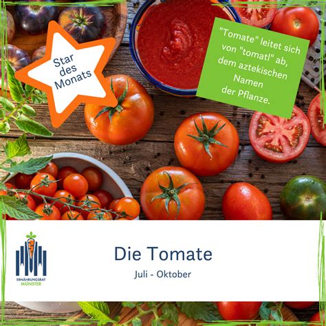 Der Star Des Monats Die Tomate Ernährungsrat Münster Ev