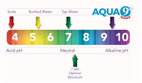 Over Acidification Is The Bodys Enemy