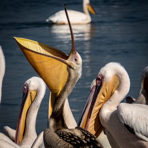 Blues In My High School Efl Class Visualising Ideas