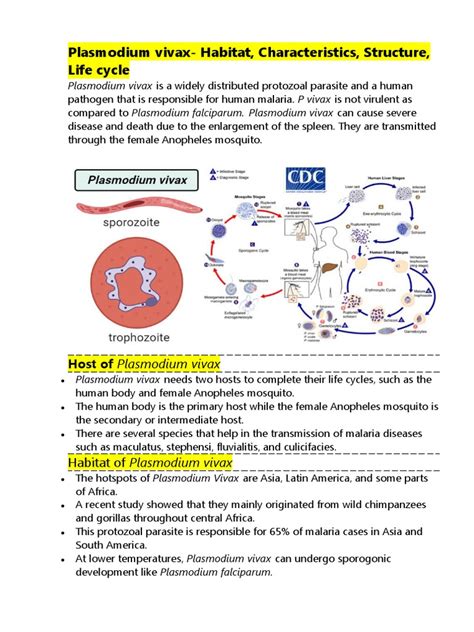Plasmodium Vivax Habitat Characteristics Structure Life Cycle Pdf Plasmodium Anatomy