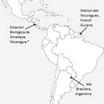 Pb Postural Behavior Of Howler Monkeys Alouatta Palliata A