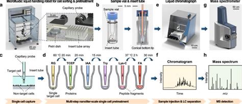 Creative Proteomics On Linkedin Pick Up Single Cell Proteomic Analysis