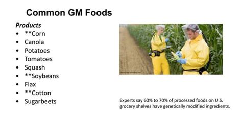 Dna Recombinant Technology On Insulin Modification Ppt