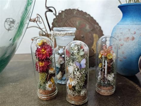 Mini Botanical Nature Art Vials Ladyfern
