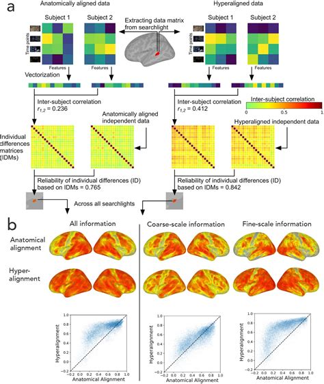 Figures And Data In Hyperalignment Modeling Shared Information Encoded In Idiosyncratic