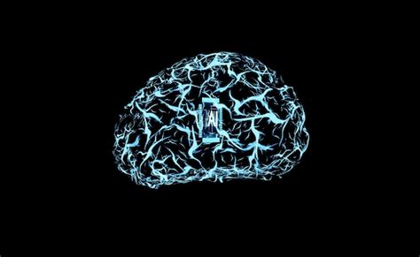 100 Inference Pictures