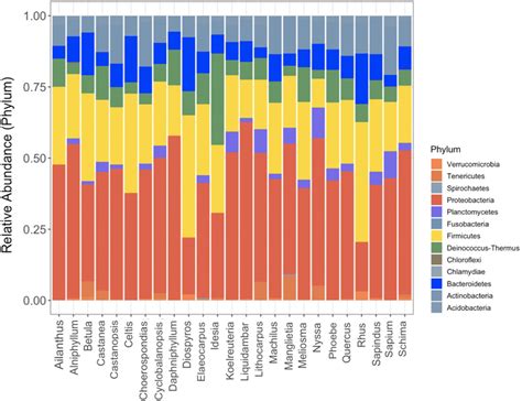 Bacterial Phyla Present In Each Tree Genus With Relative Abundances Download Scientific