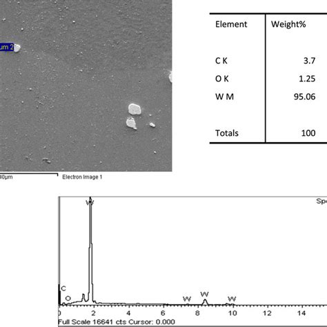 Sem Micrograph Chemical Composition And Elemental Percentage Of The