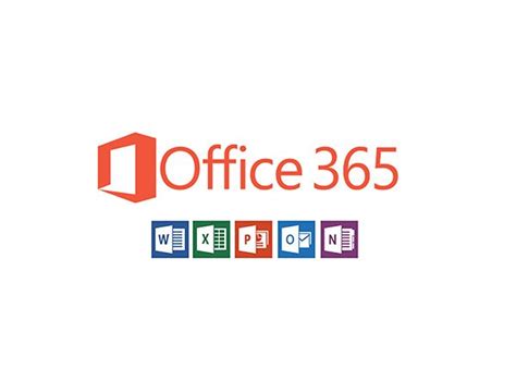 Microsoft 365 Programmer