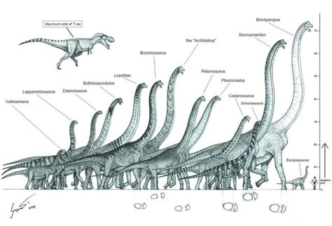 When Dinosaurs Ruled The Earth Our Favorite Dinos ~ The Fangirl Initiative