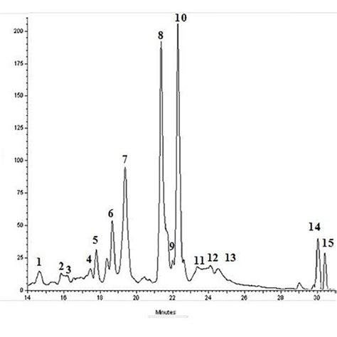 Typical Hplc Dad Chromatograms Of Bje Recorded At 278 Nm Uv Vis Download Scientific Diagram