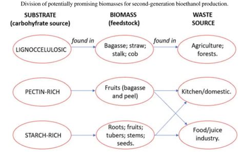 Why And How A Chronicle Of Second Generation Ethanol Cces Unicamp
