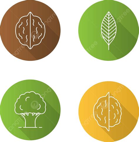 Forestry Flat Linear Long Shadow Icons Set Nut Forest Fruit Vector Nut