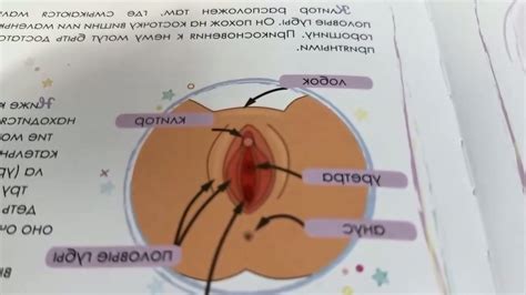 Stepmother Prepared The Stepson For The Exam On The Structure Of The Female Genital Organ Z8w2