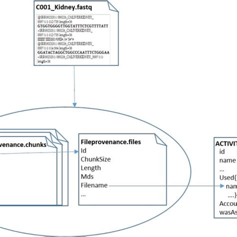 Gridfs Implementation Download Scientific Diagram