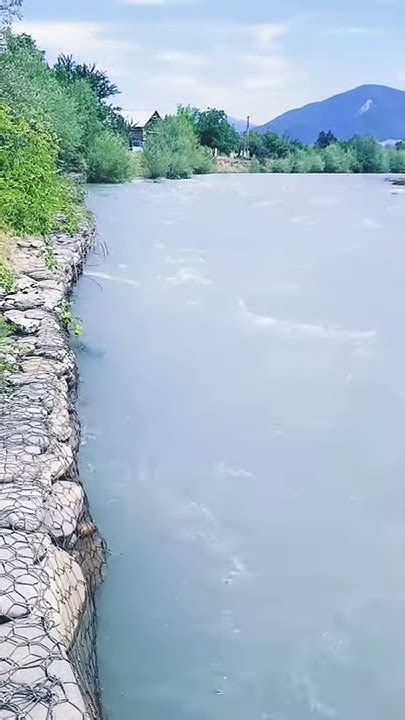 არაგვი Youtube