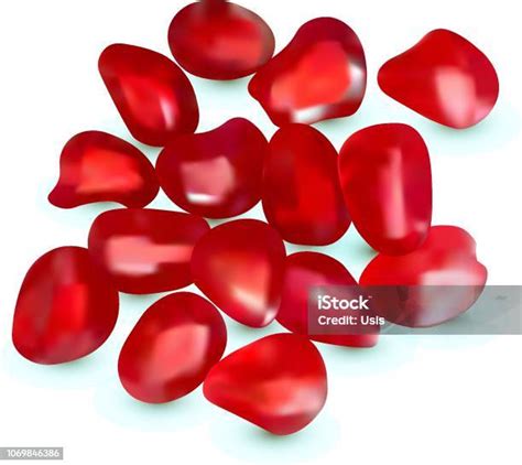 3 차원 벡터 현실적인 컬렉션 석류 씨앗 클로즈업 흰색 배경에 고립 석류에 대한 스톡 벡터 아트 및 기타 이미지 석류 0명 개체 그룹 Istock