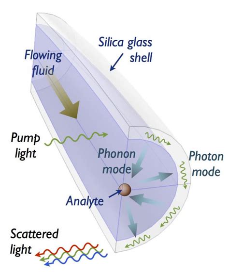 New Photonic Sensor Opens The Door To High Speed Biodetection E Science News