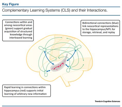 paper summary “complementary learning systems theory updated” rylan
