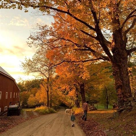 Лавандовый раф ВКонтакте