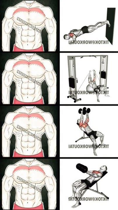 Cheats Workoutyoutubeshorts Motivation Youtubeshortsviral