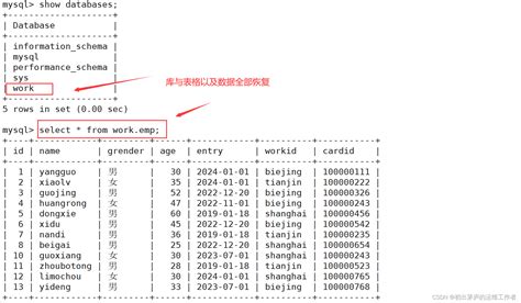 Mysql数据库备份策略与实践详解 Csdn博客