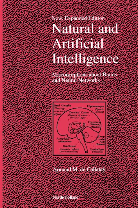 Natural And Artificial Intelligence Misconceptions About Brains And