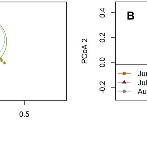Principal Coordinates Analysis Pcoa Graphic Representation Using